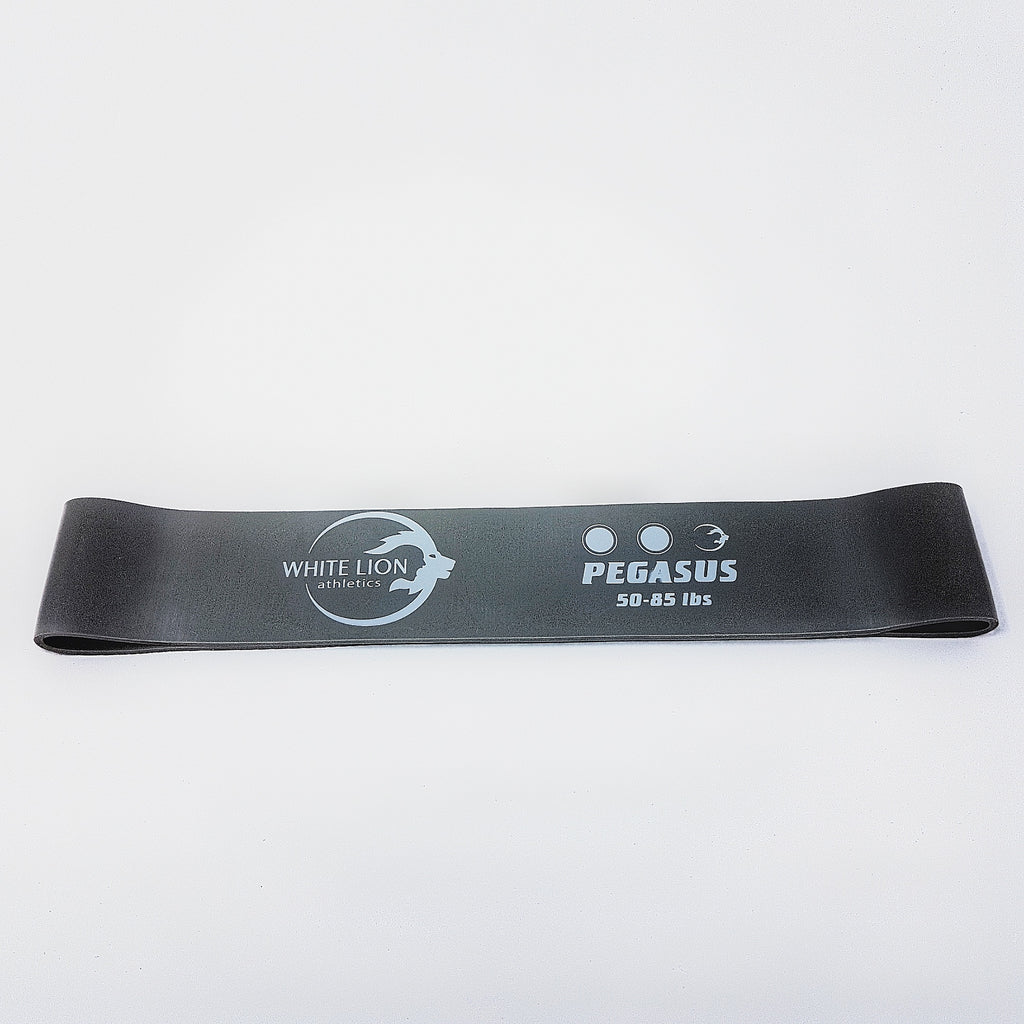 Mini Bands SINGLES |10" and 12" Resistance Bands | 6lbs-105lbs - White ...