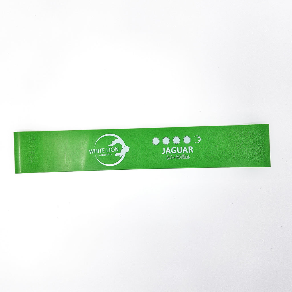 Mini Bands SINGLES |10" and 12" Resistance Bands | 6lbs-105lbs - White ...